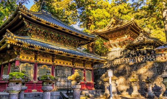 Những trải nghiệm thú vị tại Fukushima