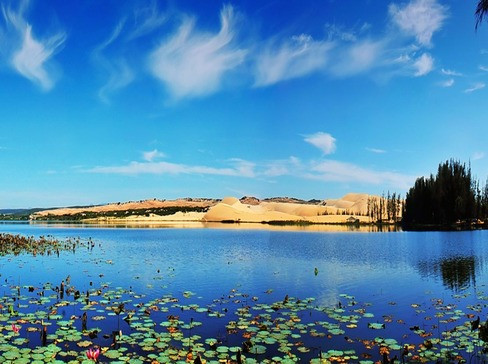 Tour Du Lịch: Phan Thiết | Mũi Né | Bàu Sen (3N2Đ) (KH Thứ 6 Hàng Tuần)