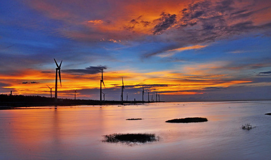 Đầm lầy Cao Mỹ - địa điểm ngắm hoàng hôn đẹp nhất Đài Trung