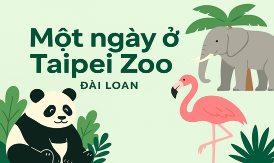 Một ngày ở Taipei Zoo Đài Loan - Bí kíp vui chơi từ A - Z