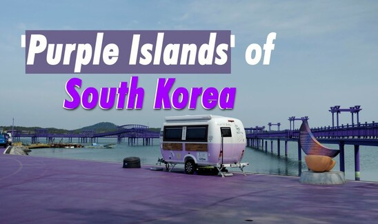 Tour du lịch Hàn Quốc: mới lạ với đảo tím Purple Island