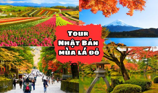 Tour Nhật Bản mùa lá đỏ - Khám phá xứ sở của mùa thu