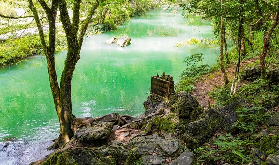 Du lịch hang Pác Pó: Nơi không chỉ có lịch sử oai hùng mà còn cảnh sắc ...